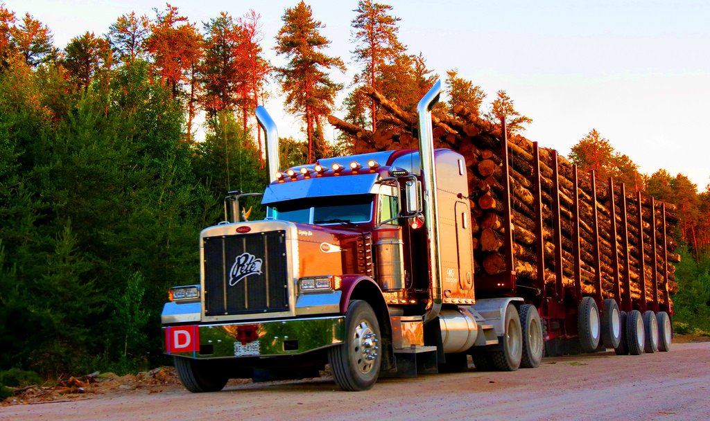 Revolutionizing Transportation: The Future of Transportation Equipment ...