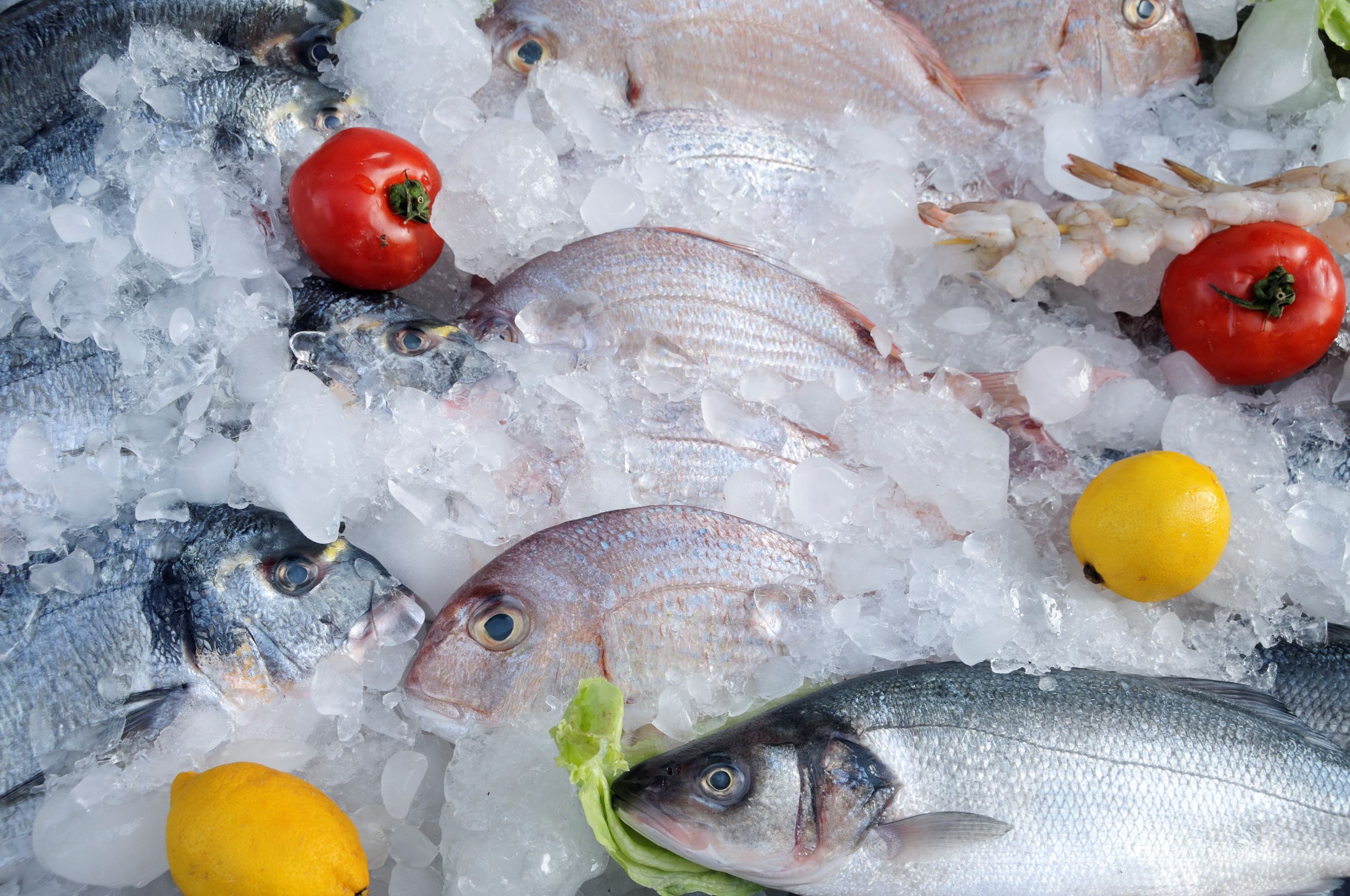 The Future of Food Preservation: Innovations and New Techniques